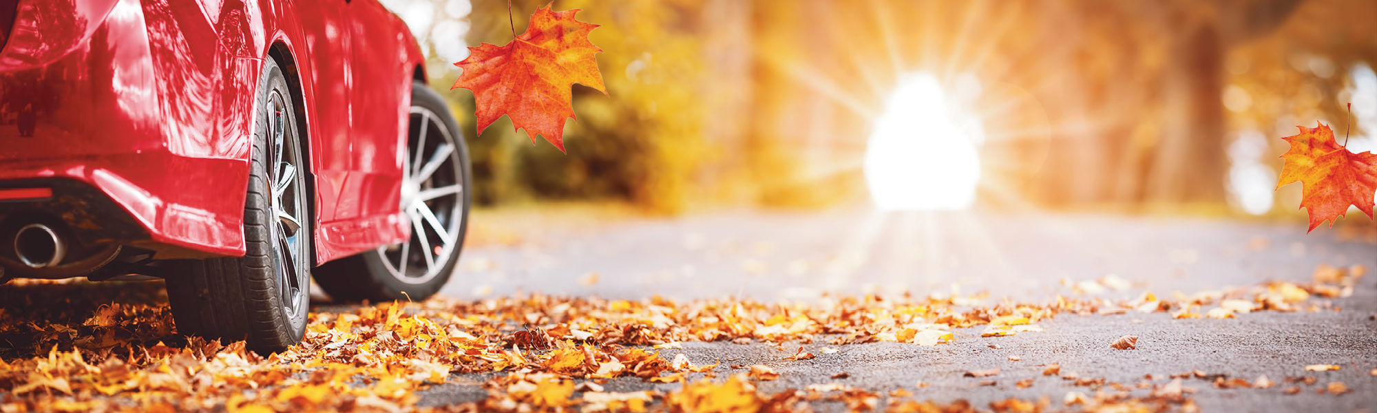 Money One FCU | Largo - Upper Marlboro | Maryland - MD